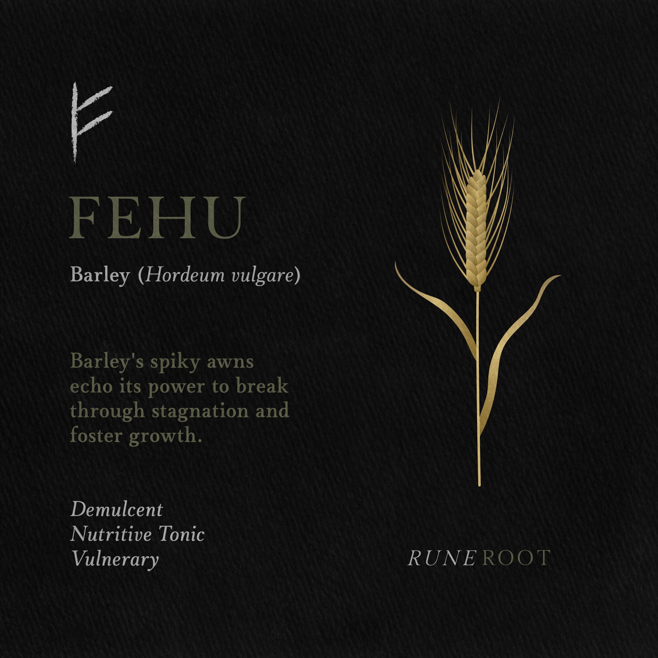 Fehu Rune Symbolism: Abundance, Fertility, and the Cycle of Life – Rune ...